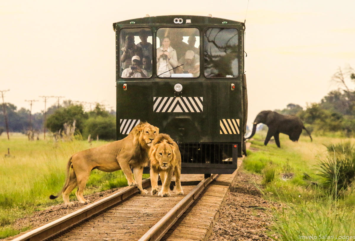 Victoria Falls og The Elephant Express | safarireiser.no