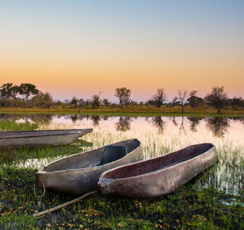 Ekspedisjon i Botswana – Opplev det ville Afrika | safarireiser.no