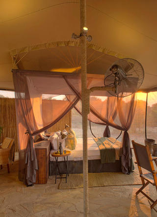 Safari i Nyerere Nasjonalpark & Mafia Island | safarireiser.no