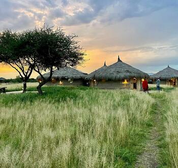 Masailand og safari – Opplev Maasai-kulturen | safarireiser.no